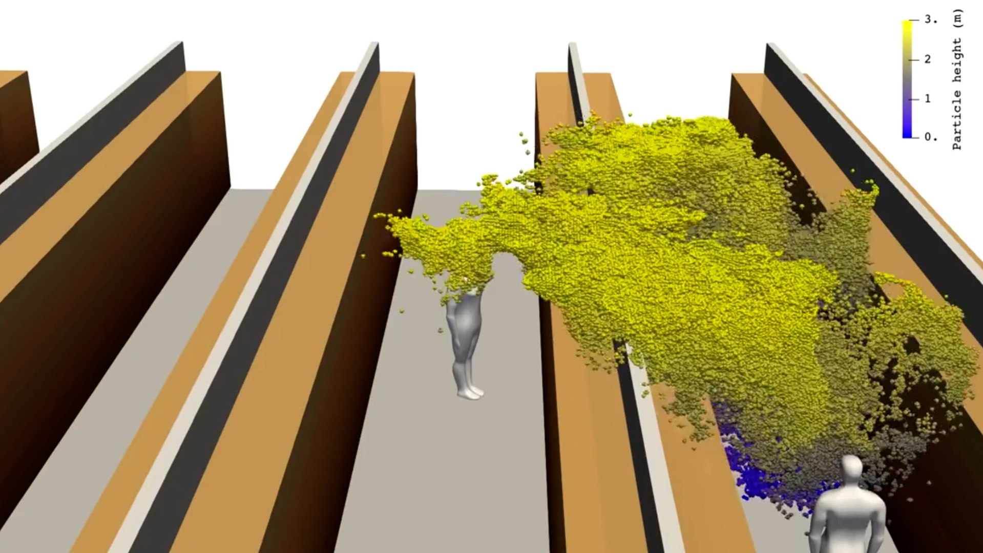 Últimos vídeos de Ciencia y Salud - Página 82 | EL MUNDO