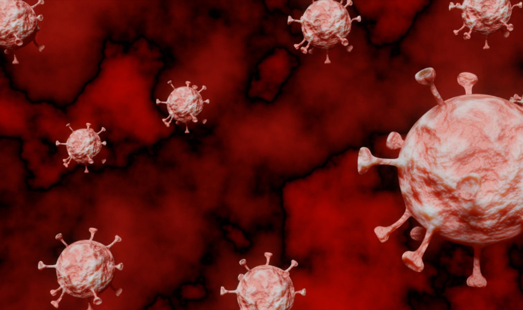 Últimos vídeos de Ciencia y Salud - Página 23 | EL MUNDO