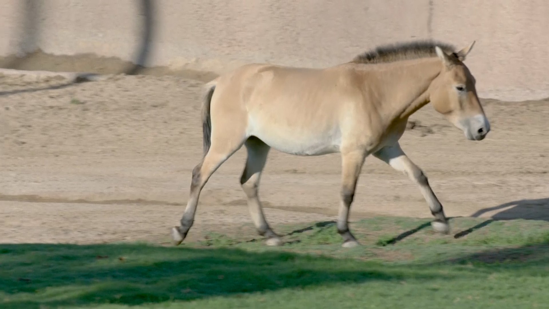 Últimos vídeos de Ciencia y Salud - Página 20 | EL MUNDO