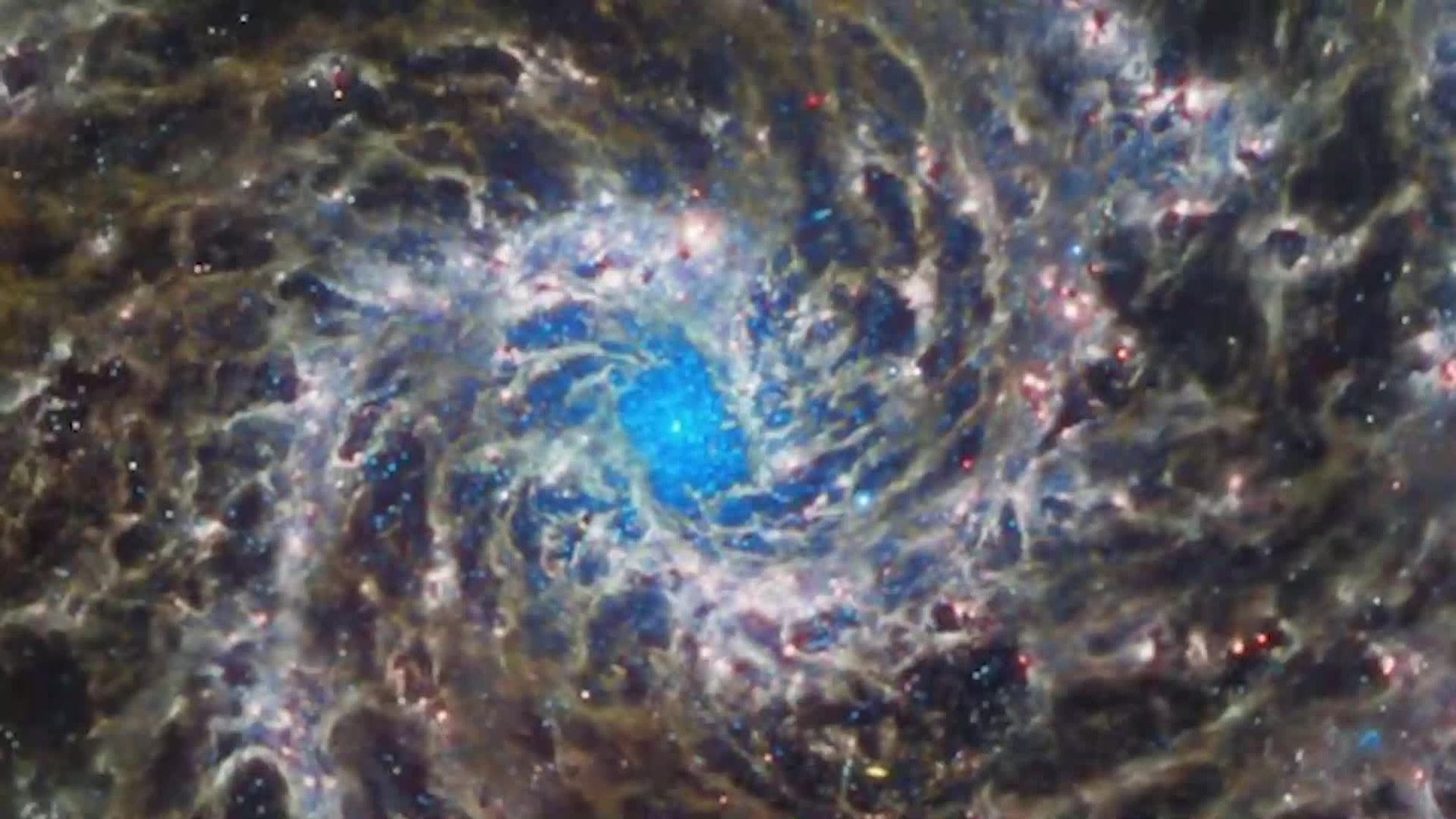 Últimos vídeos de Ciencia y Salud - Página 19 | EL MUNDO