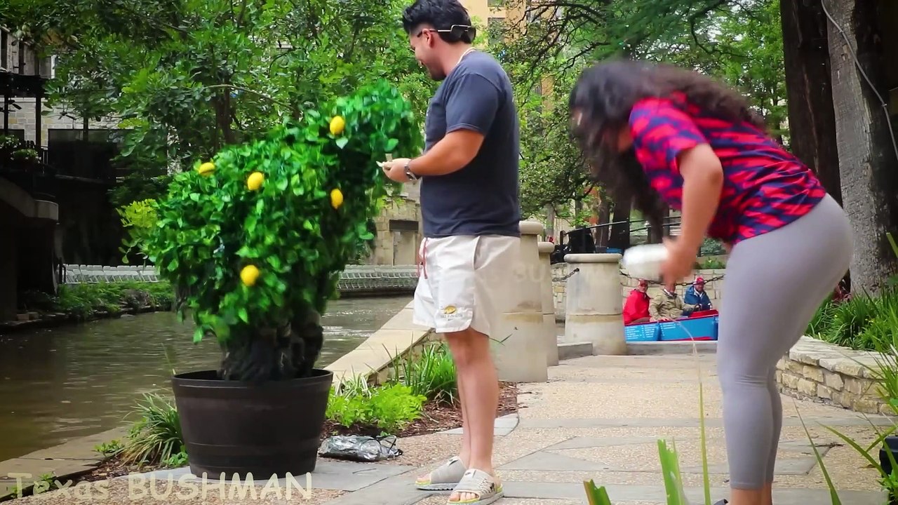 Ultimate Best of Bushman Prank Compilation 2023!! - video Dailymotion