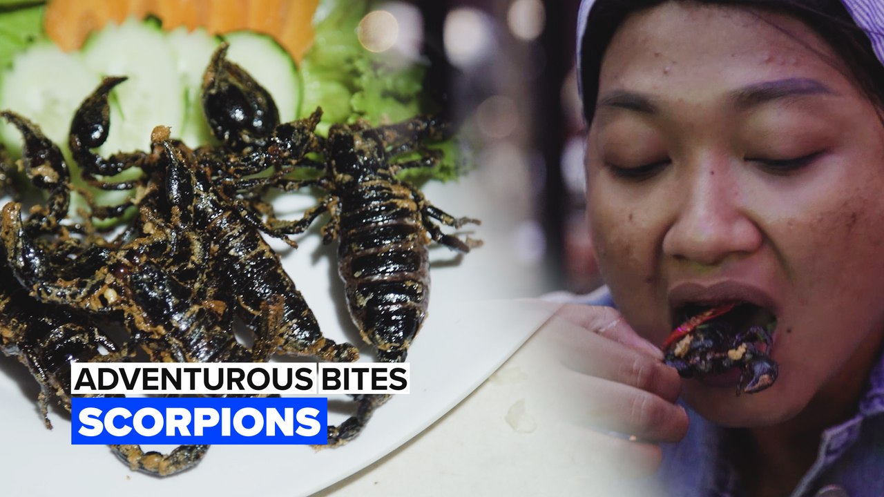 Adventurous Bites: Interested in a mouth full of scorpions? - video ...