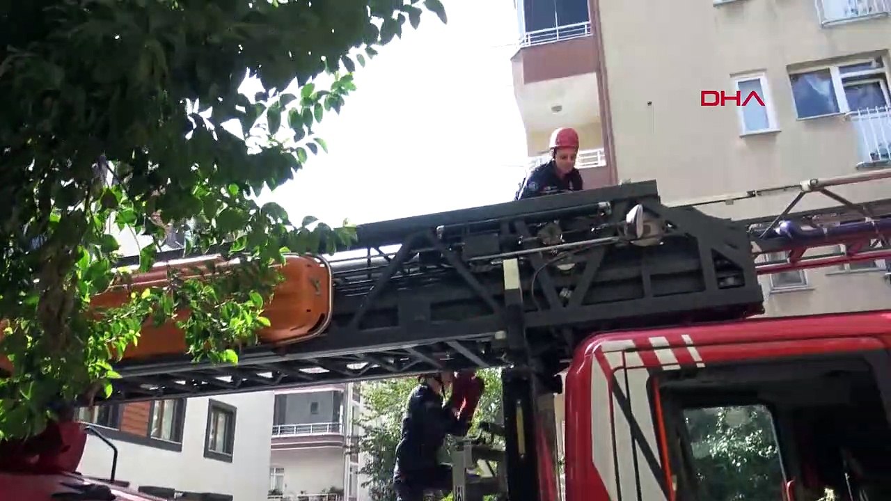 Avcılar'da İtfaiye Kediyi Kurtardı - Dailymotion Video