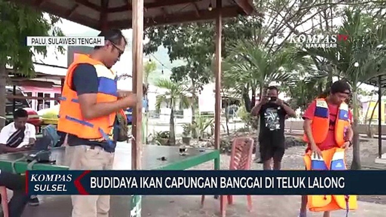 Budidaya Ikan Capungan Banggai Di Teluk Lalong - Video Dailymotion