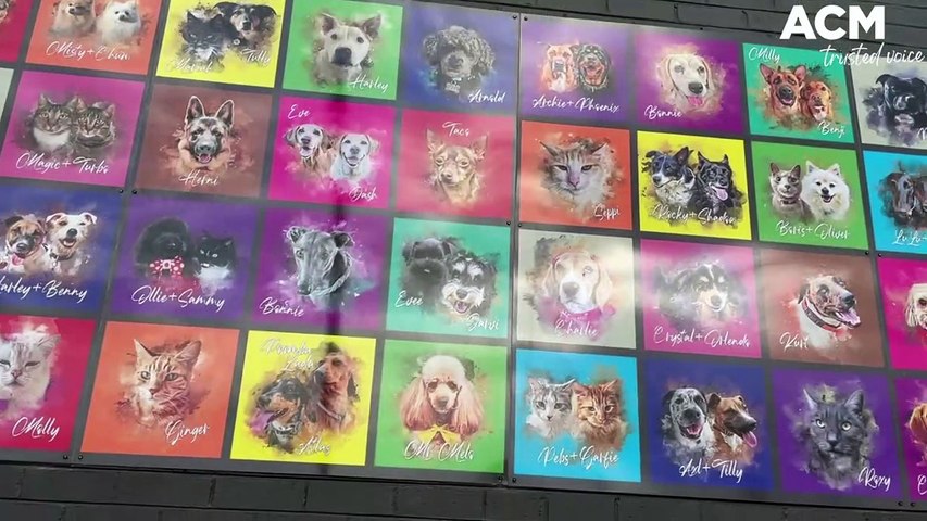 Unanderra's pet mural unveiled | October 10, 2023 | Illawarra Mercury ...