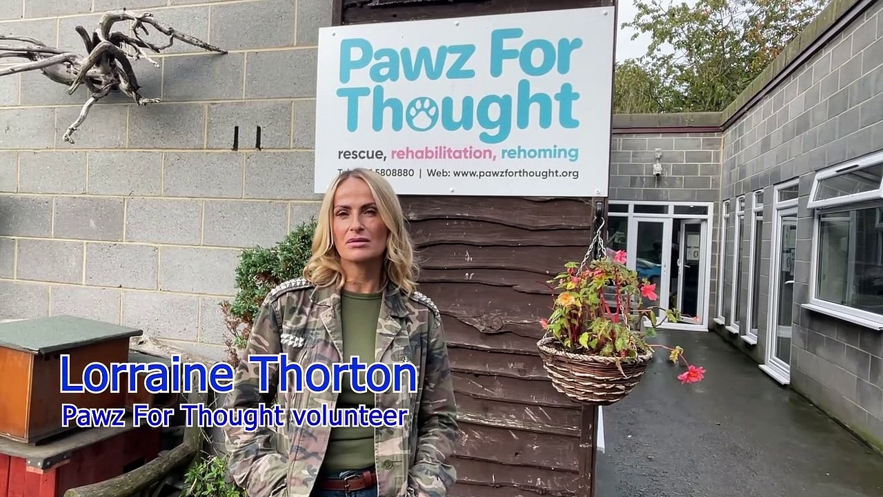 How Pawz For Thought uses donated money to support animals in the ...