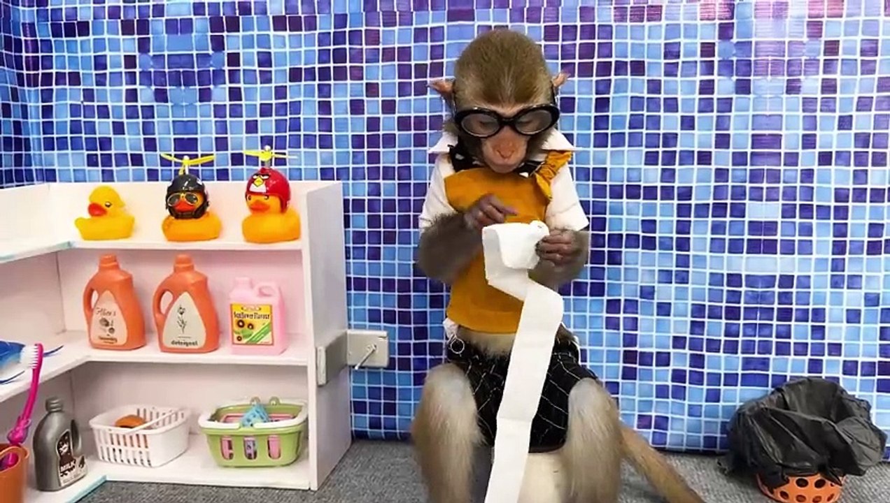 Cool Video For Toddlers In Which Smart Monkey Drives A Pink Car and ...