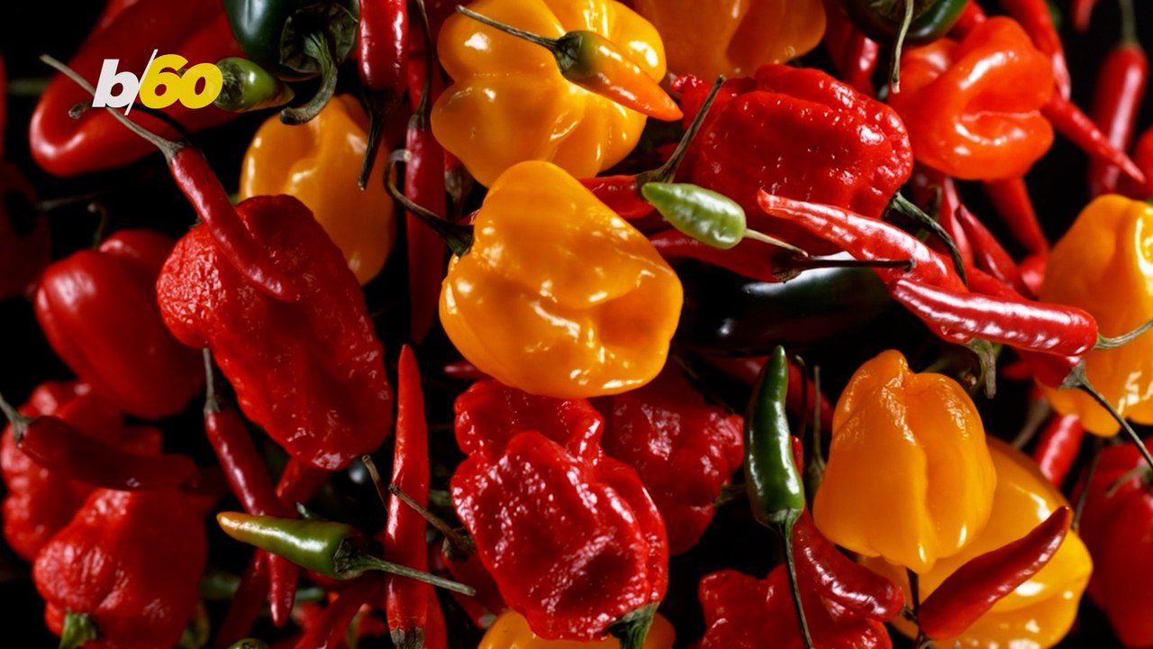 Pepper X is the World’s Newest and Hottest Pepper Ever - video Dailymotion