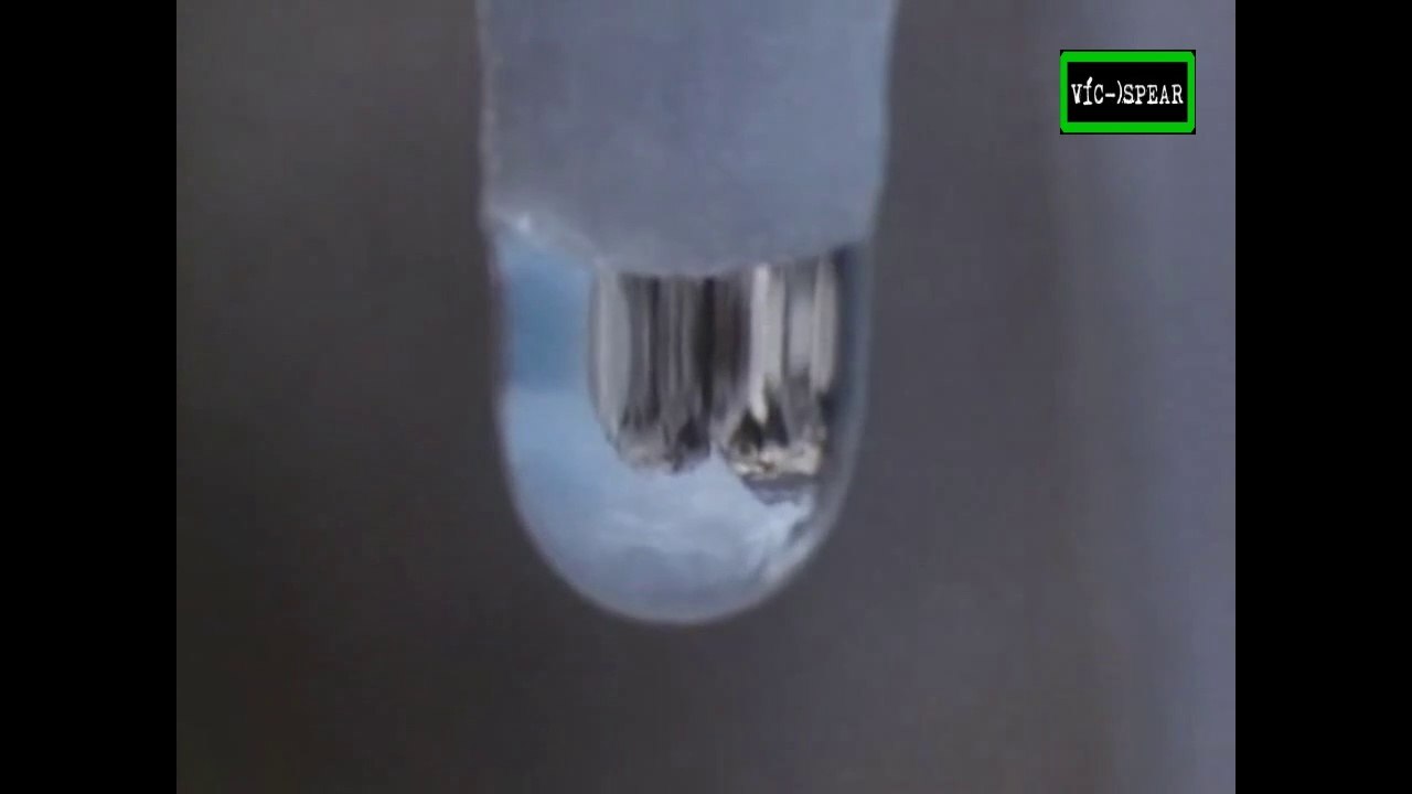 El Primer Edem: La Creacion - Documental (1987) Español Latino ...