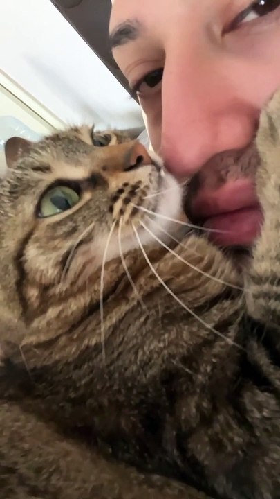 Cat Bites Man's Nose - video Dailymotion