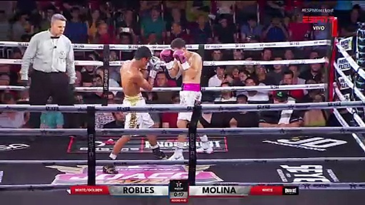 Alexis Molina Aguirre vs Luis Robles Pacheco (13-10-2023) Full Fight - video Dailymotion