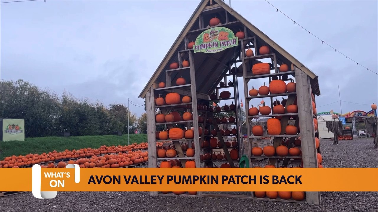Bristol October 18 What’s On Guide: Avon Valley Country Park is open ...