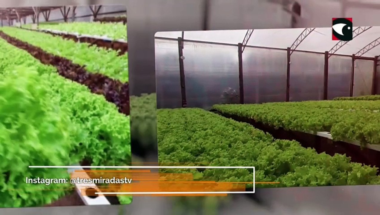 3 Miradas | Mirá el programa completo Claudia Santini, Ivana Matvichuk ...