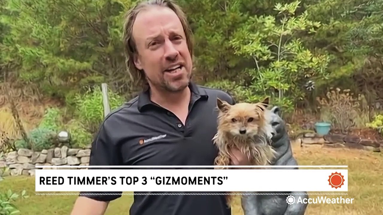 Reed Timmers Top Three Gizmoments Video Dailymotion