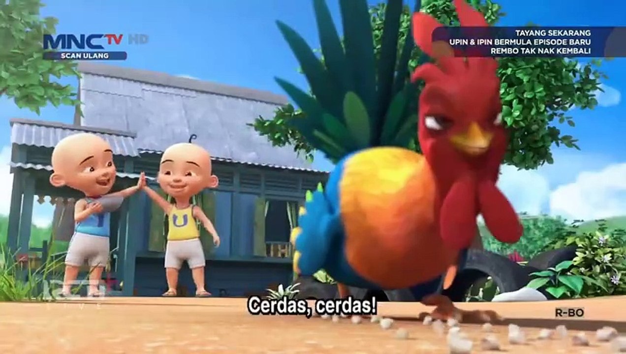 Upin Ipin Musim 17 Perginya Rembo Full Episode - Video Dailymotion