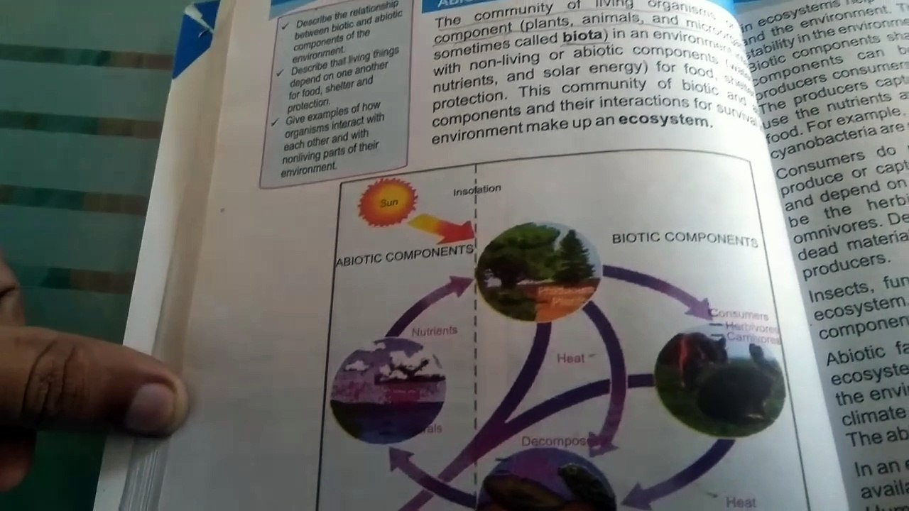 Chapter four relatioship biotic and abiotic - video Dailymotion
