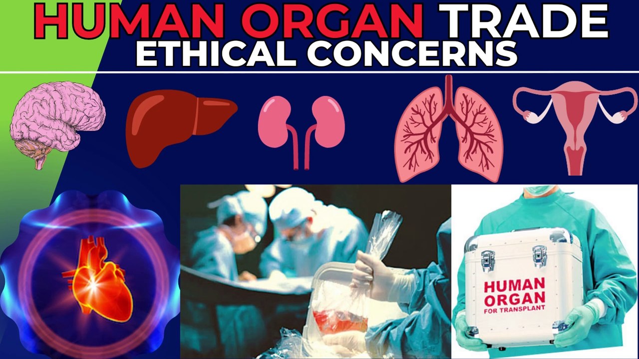 Human Organ Trade : Ethical Concerns - video Dailymotion