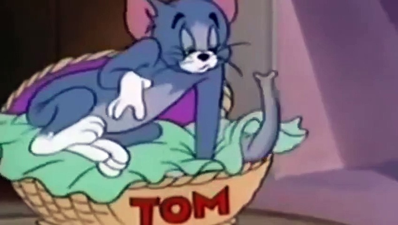 Tom and Jerry with his old friend the elephant high quality Tom And ...