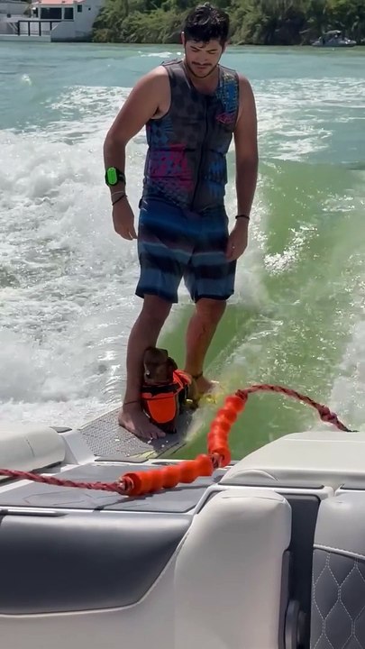 A Wakeboarding Dog - video Dailymotion