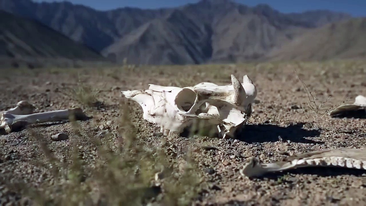 AADIMANAV | OFFICIAL TEASER | Round2hell | R2h - video Dailymotion