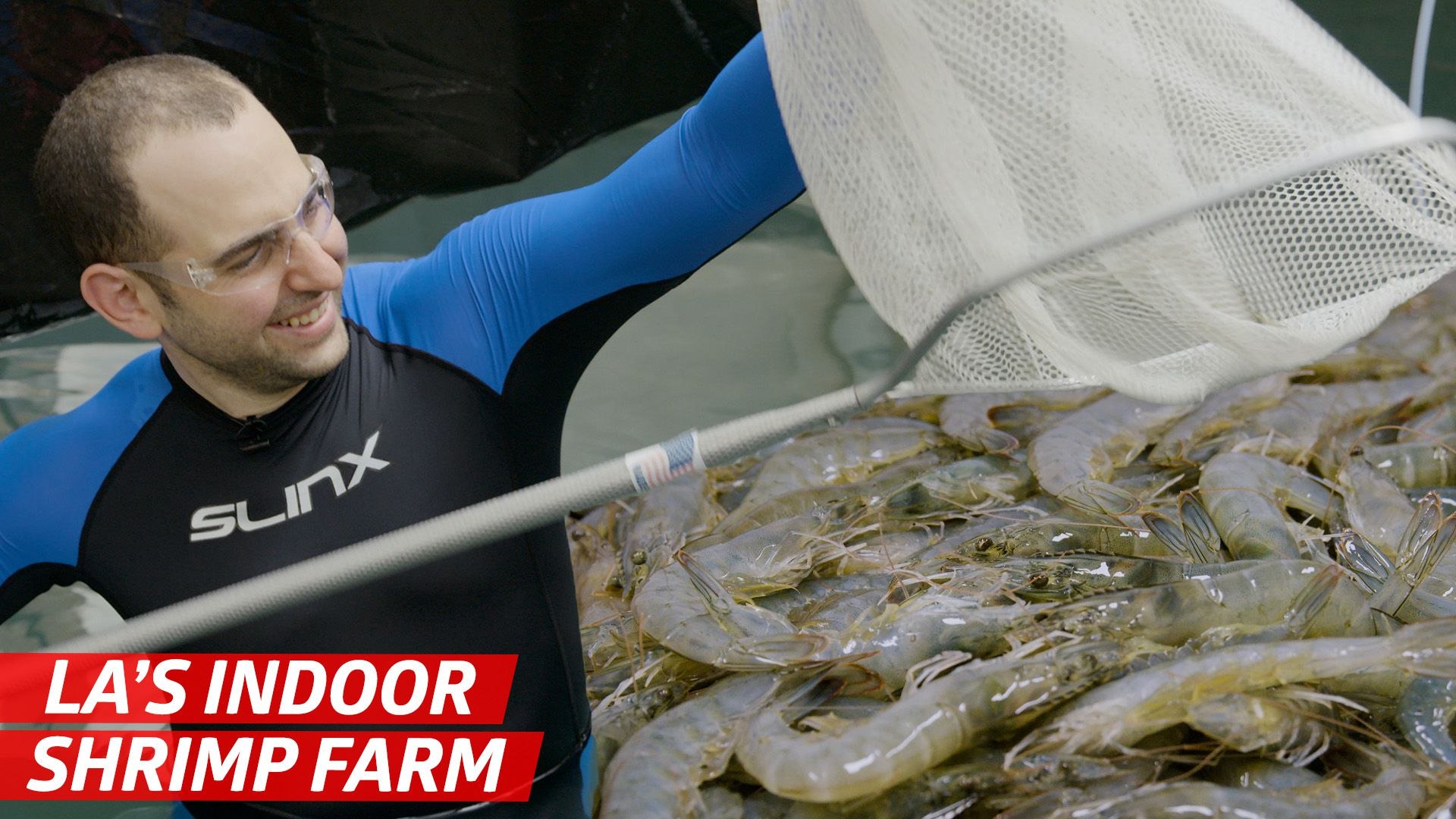 Indoor Shrimp Farming Biofloc Technology For High Intensity Indoor