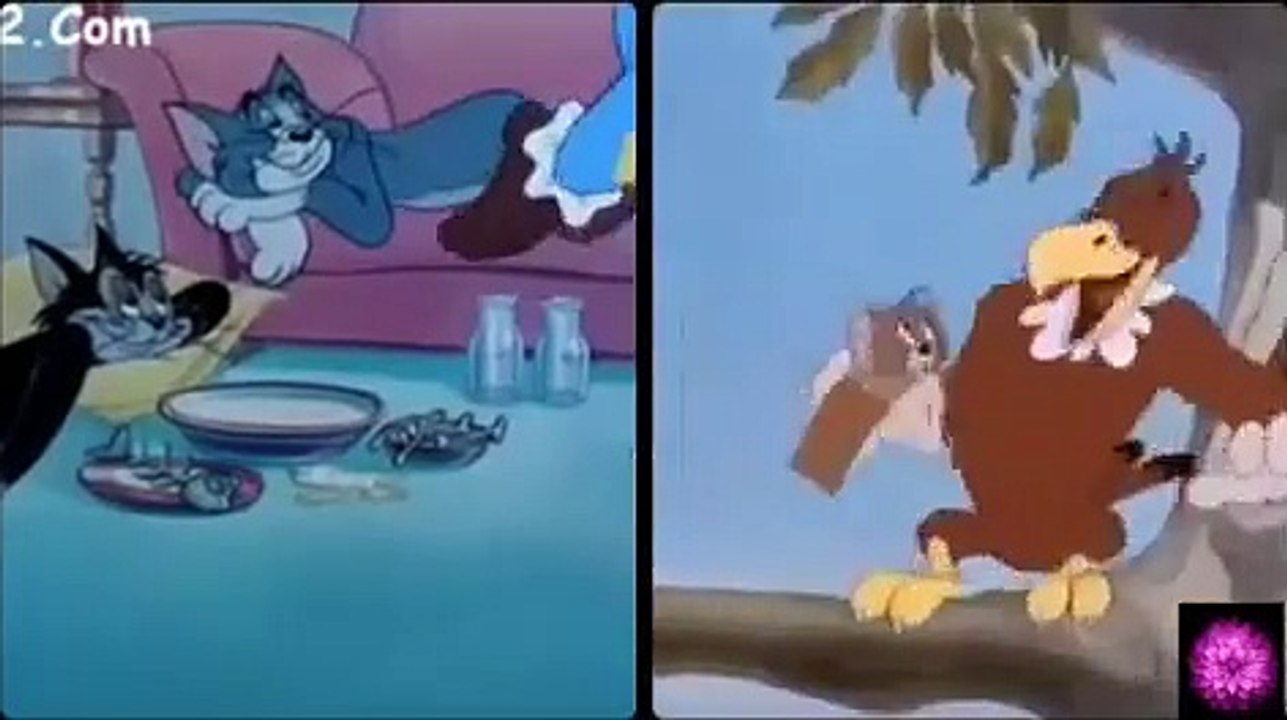 Tom and Jerry[phim hoạt hình vui nhộn Cartoon[ hoat hinh chuot va meo ...