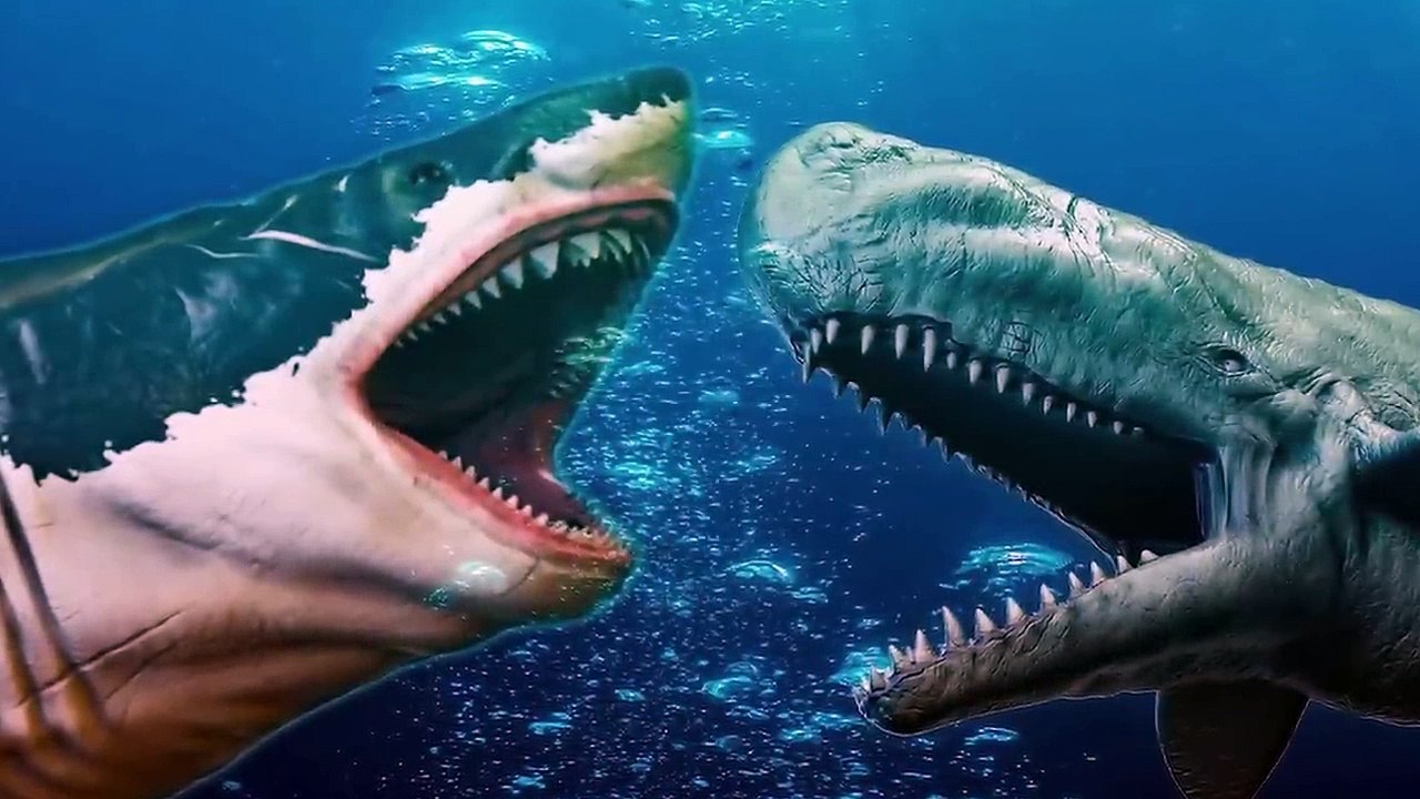 15 INCREDIBLE Megalodon Shark Facts - video Dailymotion
