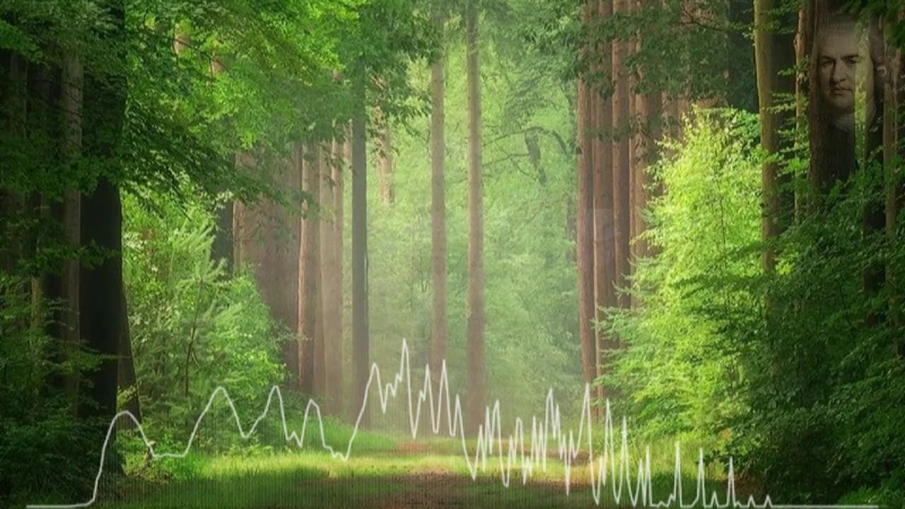 Johann Sebastian Bach Invention 8 in F major, BWV 779-ORGAN - video ...