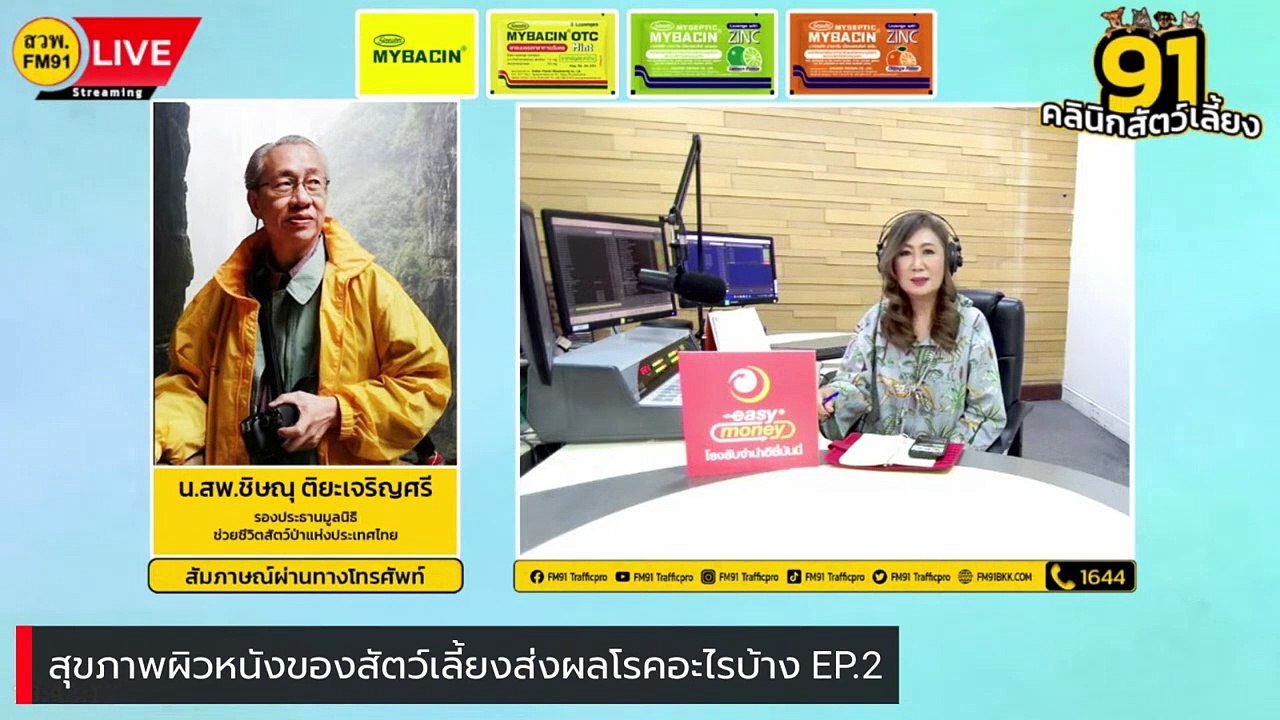 สุขภาพผิวหนังของสัตว์เลี้ยงส่งผลโรคอะไรบ้าง EP.2 : FM91 คลินิกสัตว์เลี้ยง : 29 ตุลาคม 2566 ...