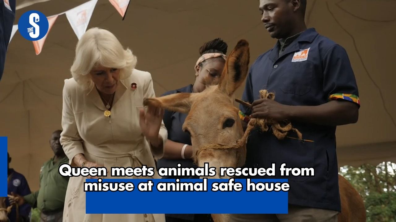 Queen meets animals rescued from misuse at animal safe house - video ...