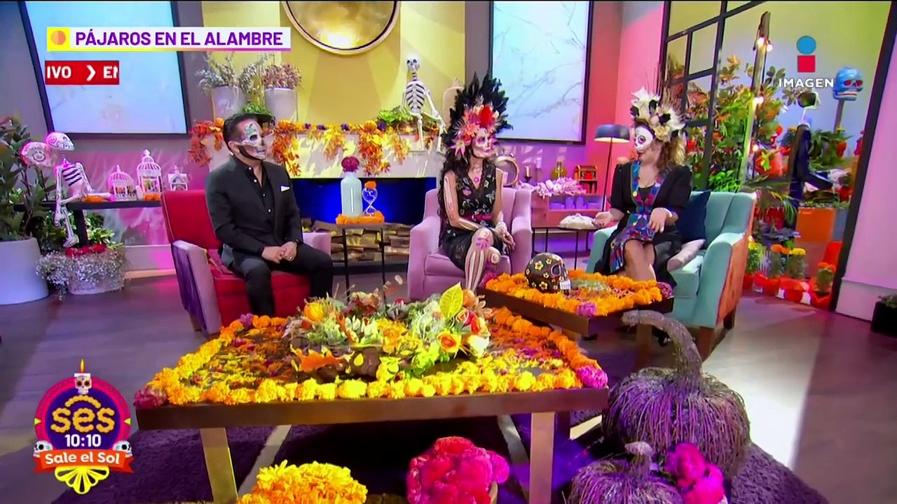 Aracely Arámbula CONSTERNADA por desastres del huracán OTIS en Acapulco ...