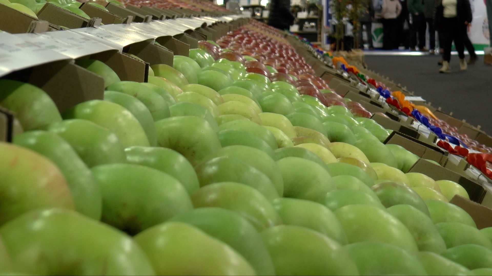 National Fruit Show marks 90 years of competition and innovation in ...