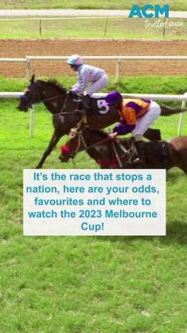Melbourne Cup 2023 cheat sheet: Favourites, odds and where to watch ...