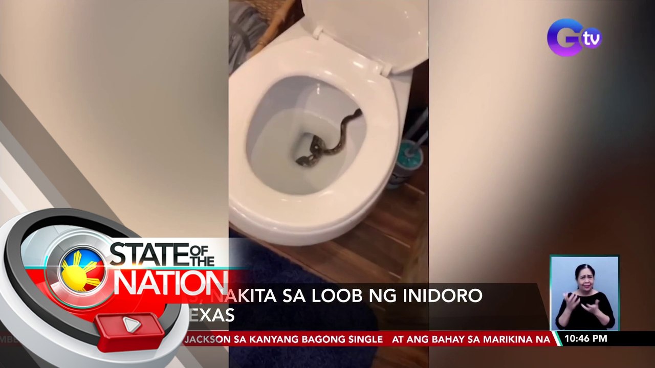 Ahas, nakita sa loob ng inidoro sa Texas - video Dailymotion