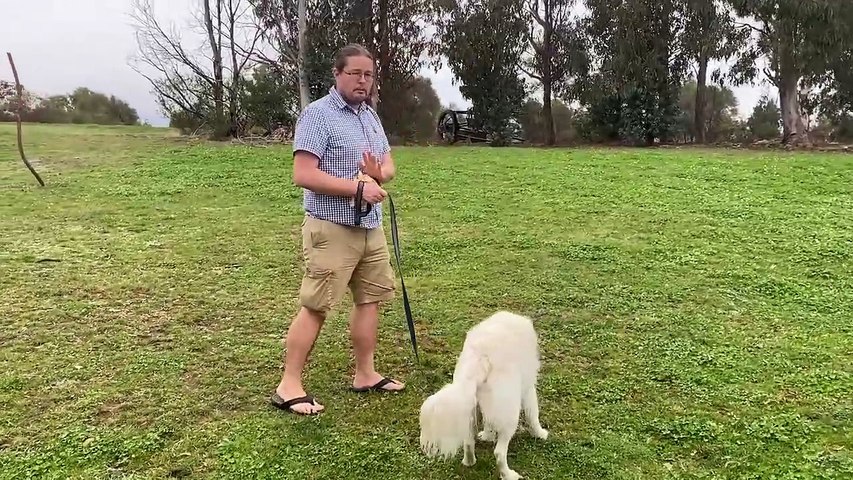 Mercury is in Retrograde - Astronomy Explained! | Dr Brad Tucker | The ...