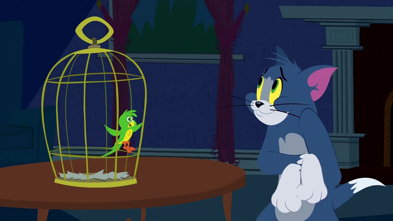 Tom and Jerry Show S 01 E 13 B - BIRDS OF A FEATHER ‎@LOOcaa - video ...