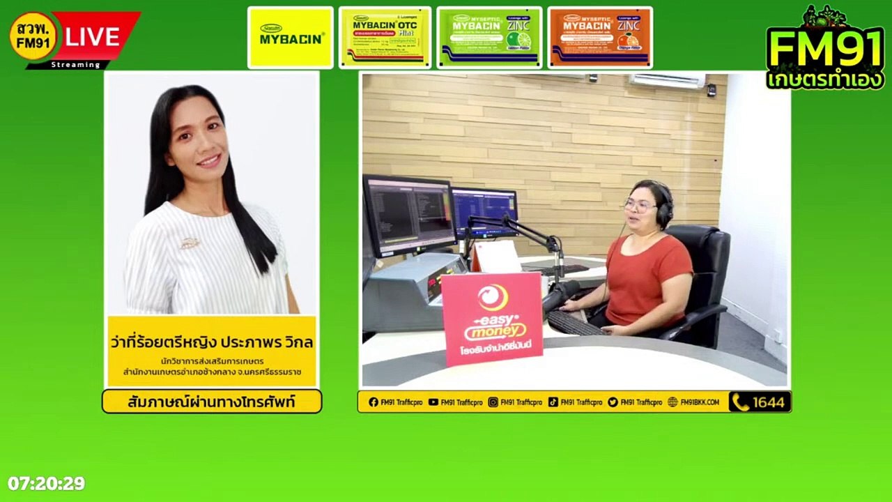 สมุนไพรกำจัดศัตรูพืช EP.2 : FM91 เกษตรทำเอง : 5 พฤศจิกายน 2566 - video Dailymotion