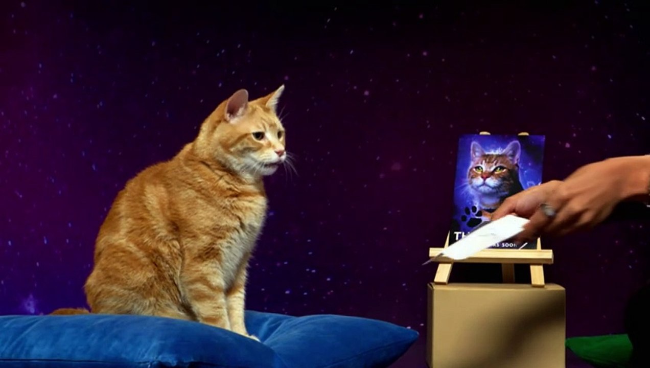 Meet Goose! The Marvels' Flerken Hero - video Dailymotion