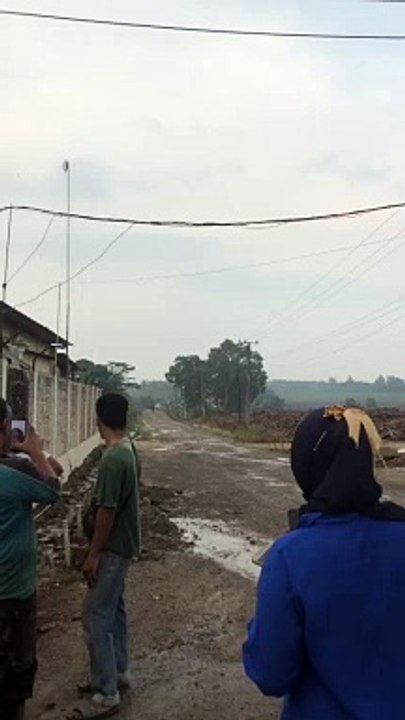 Kabel listrik tegangan tinggi terbakar akibat ranting pohon yang basah ...