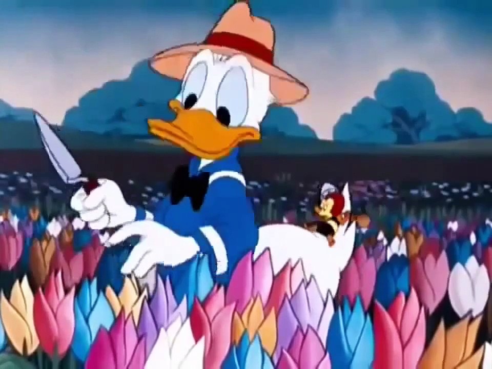 DONALD DUCK CARTOONS BEE ON GUARD - video Dailymotion