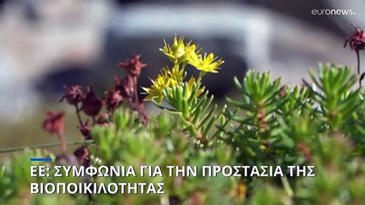 Ευρωπαϊκή Ένωση: Συμφωνία για την προστασία της βιοποικιλότητας και την ...