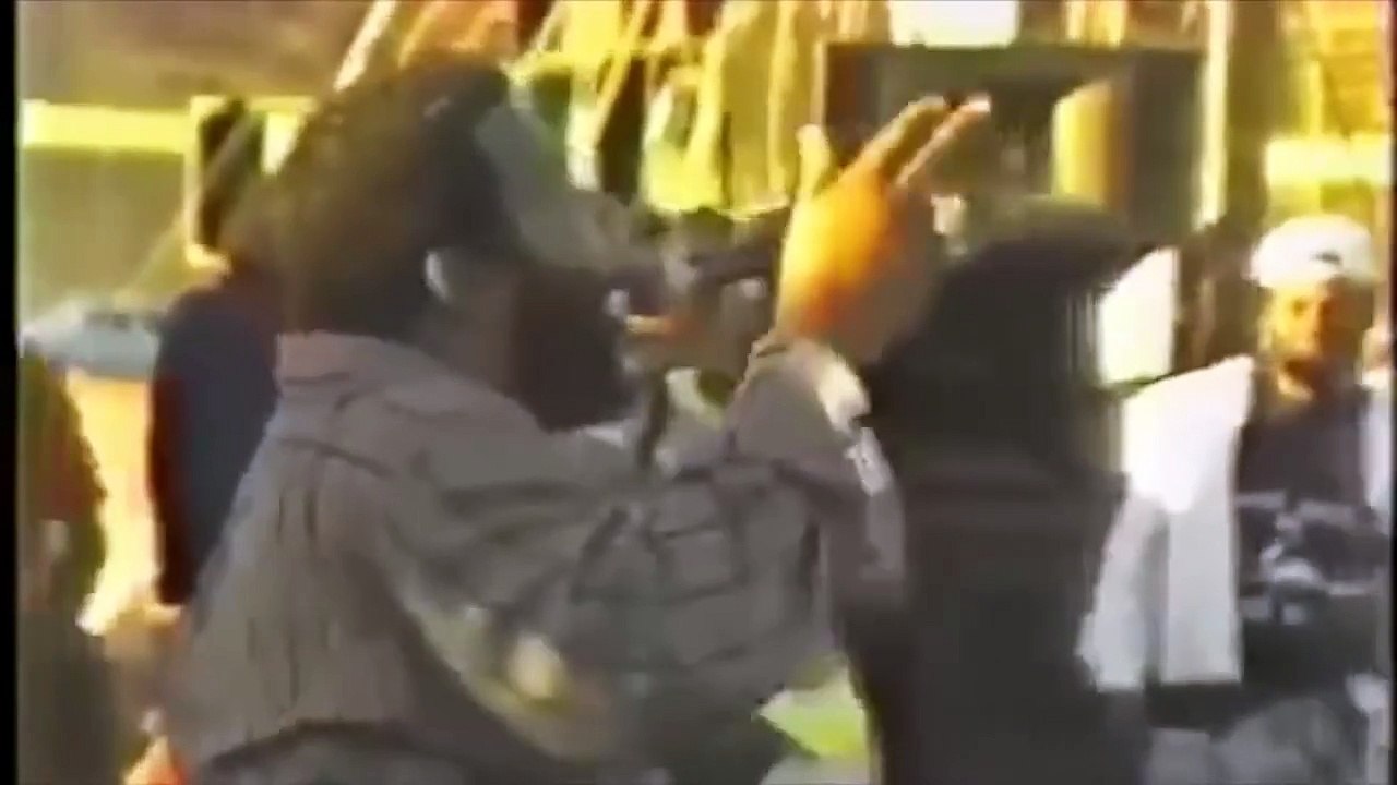 STING 1989 REGGAE SHOW (TIGER, PAPA SAN, BAILEY, JOSEY WALES) & MORE ...