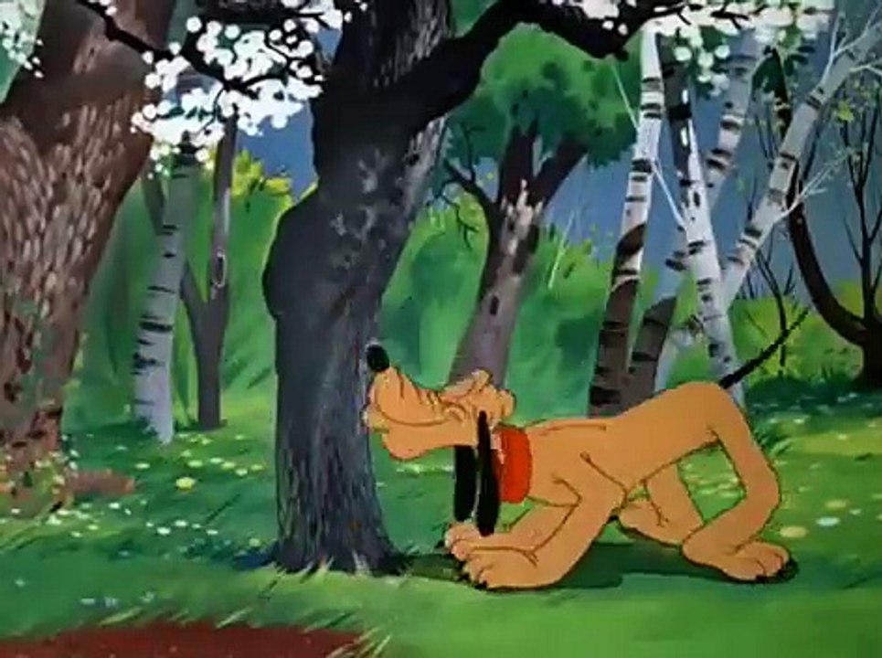 Pluto Springtime for Pluto - video Dailymotion