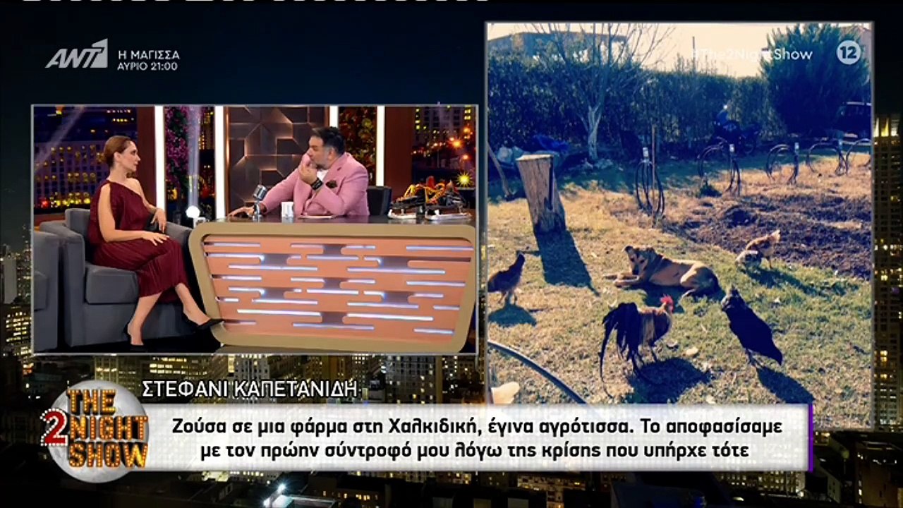 THE 2NIGHT SHOW - ΣΤΕΦΑΝΙ ΚΑΠΕΤΑΝΙΔΗ - video Dailymotion