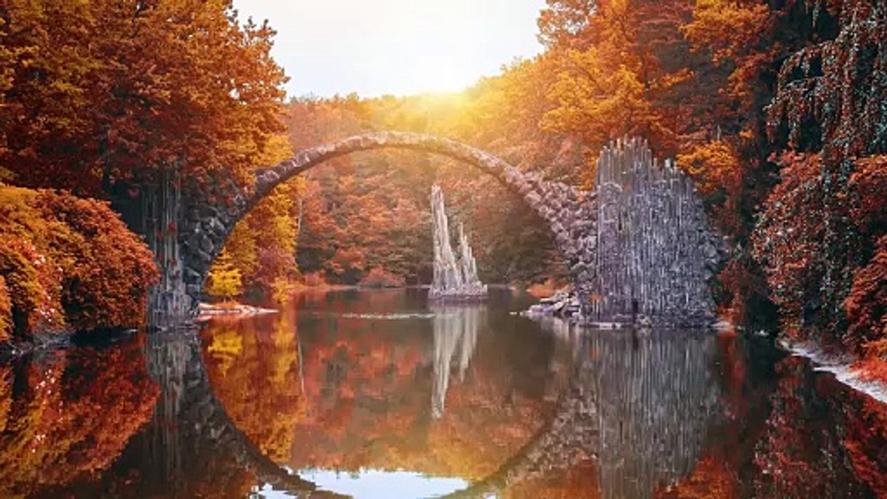 Don’t Rake Up All Your Leaves This Year - video Dailymotion