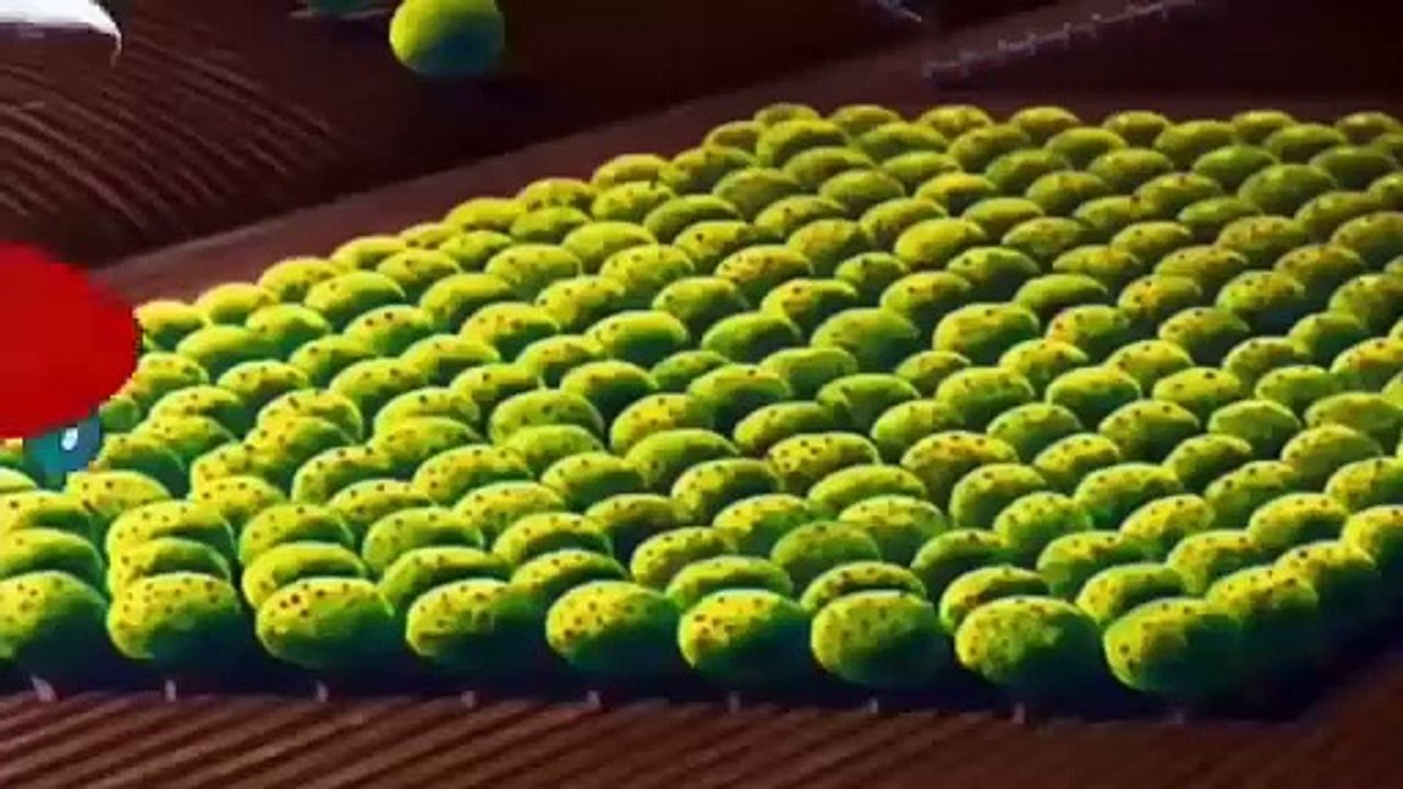 ᴴᴰ Pato Donald y Chip y Dale dibujos animados - Pluto, Mickey Mouse ...