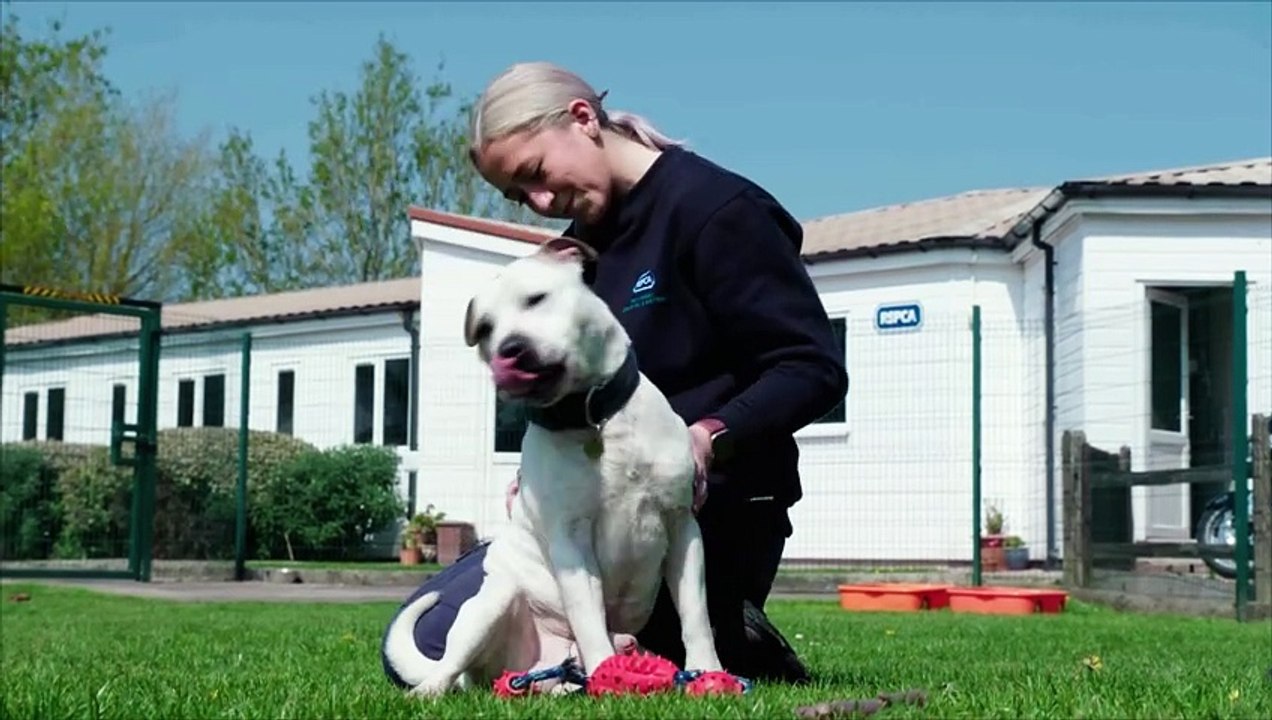 Omaze launches £3.25m house draw in Somerset - video Dailymotion