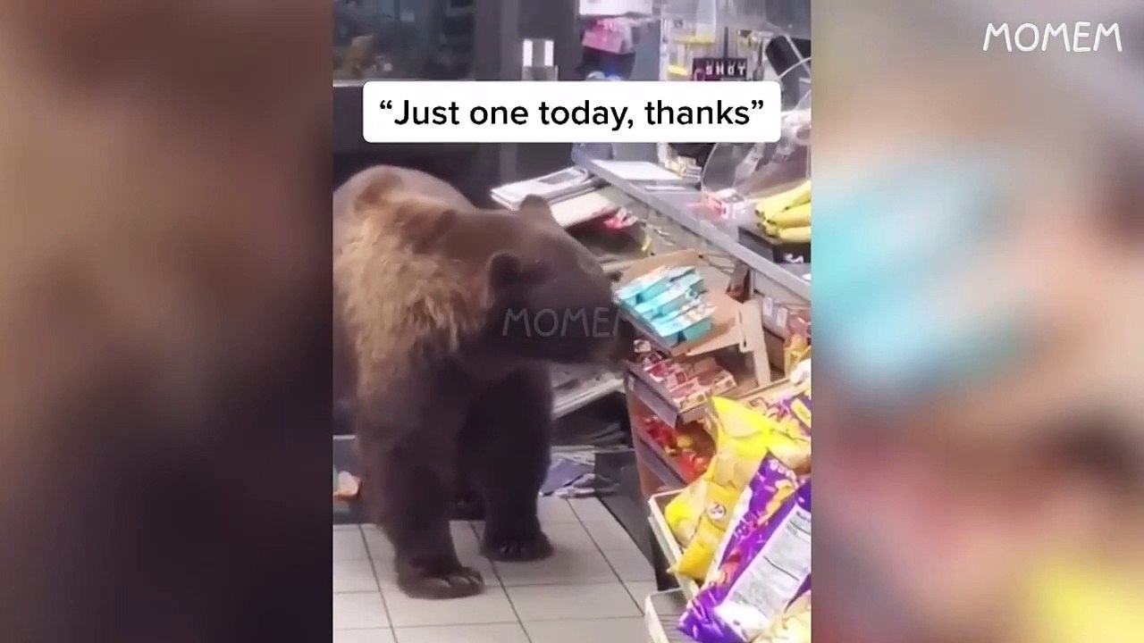 you laugh, you restart memes 1 - video Dailymotion