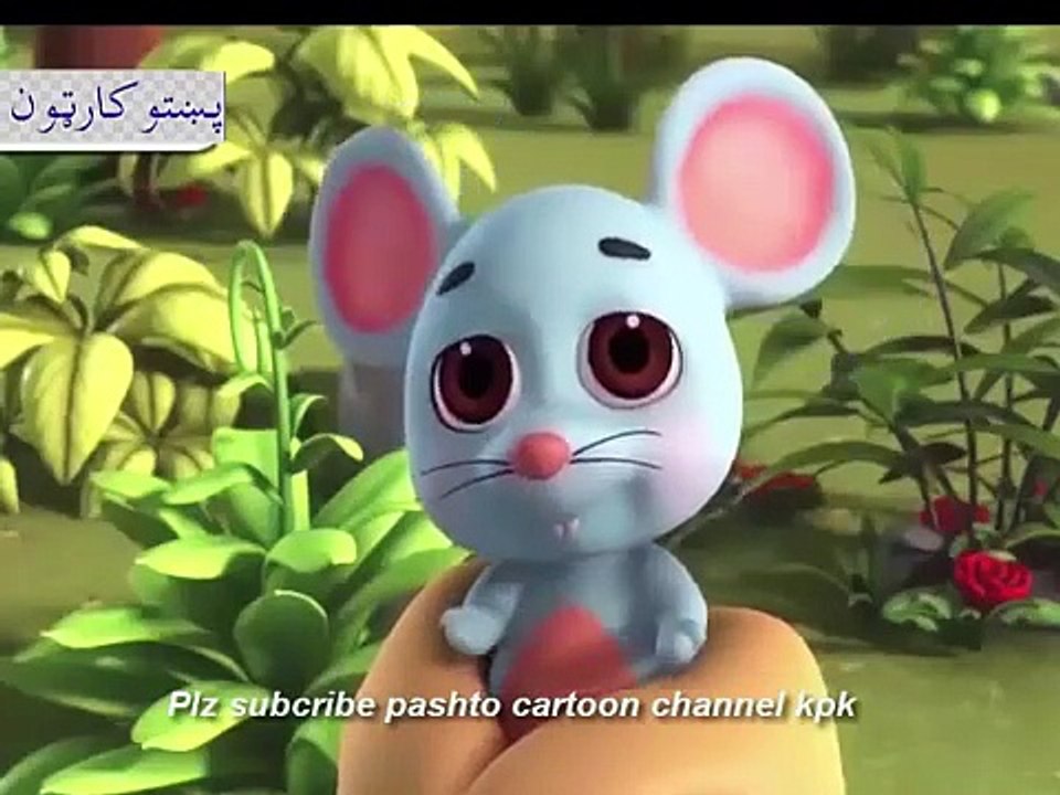 PASHTO CARTOON SHER AO MAGAI QISSA 2019 CARTOON CHILDREN STORY CARTOON ...