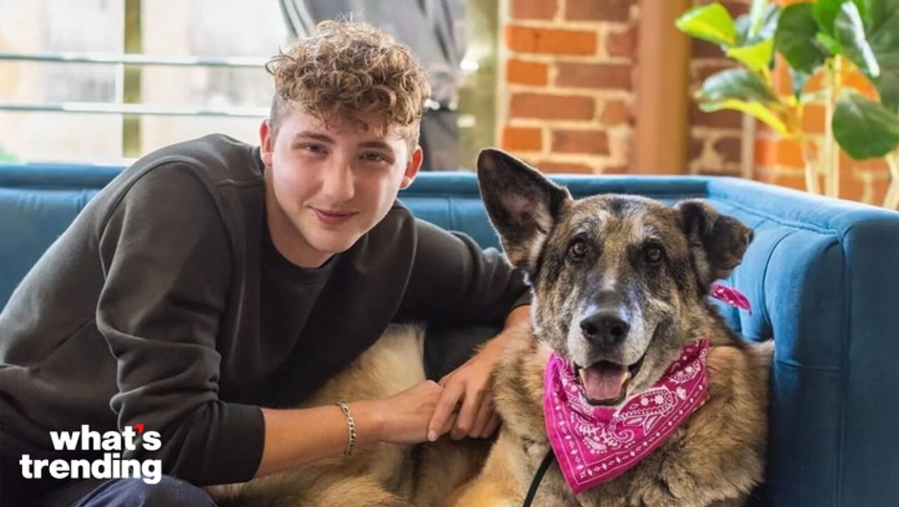 TikToker Matt Nelson Rates The Top 5 Good Dogs Every Week - video ...